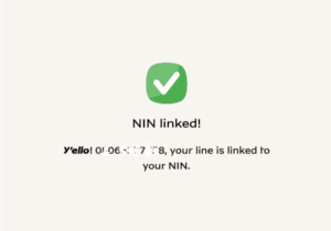 4 easy ways to link your MTN line to your NIN