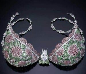 Who Owns $12.5million Most Expensive Bra In Nigeria?