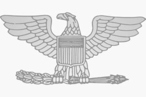 US Army Ranks and Their Insignia From Lowest to the Highest