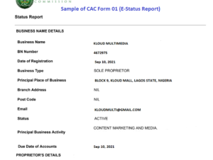 Forms 01: CAC E-Status Report Explained With Sample